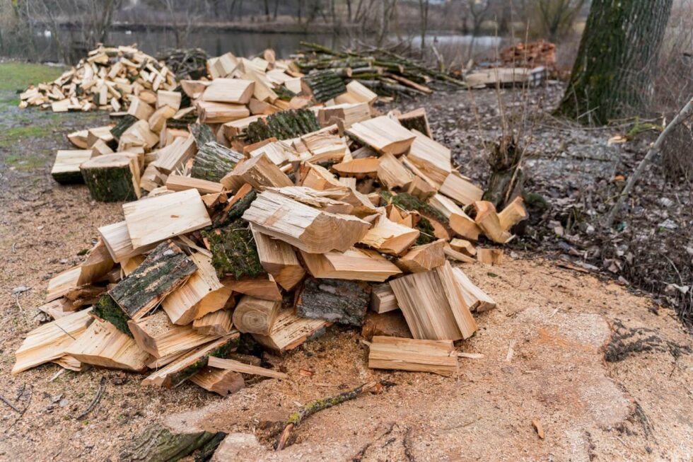 The Importance of Wood Waste Disposal in India's Furniture Industry ...